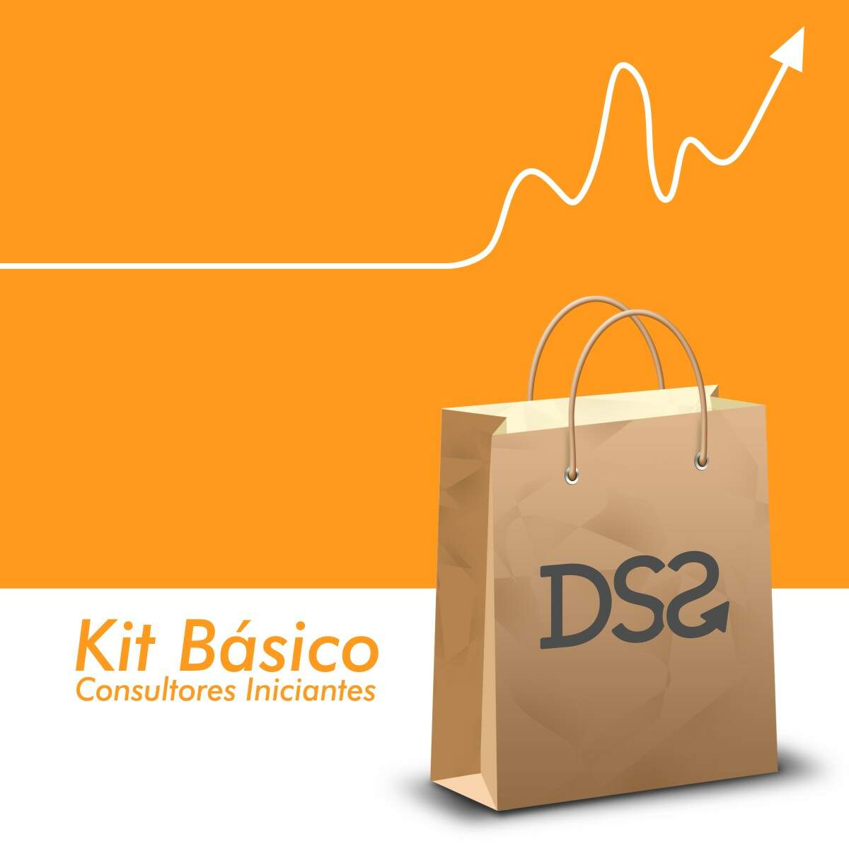 Kit Básico Para Consultores Iniciantes