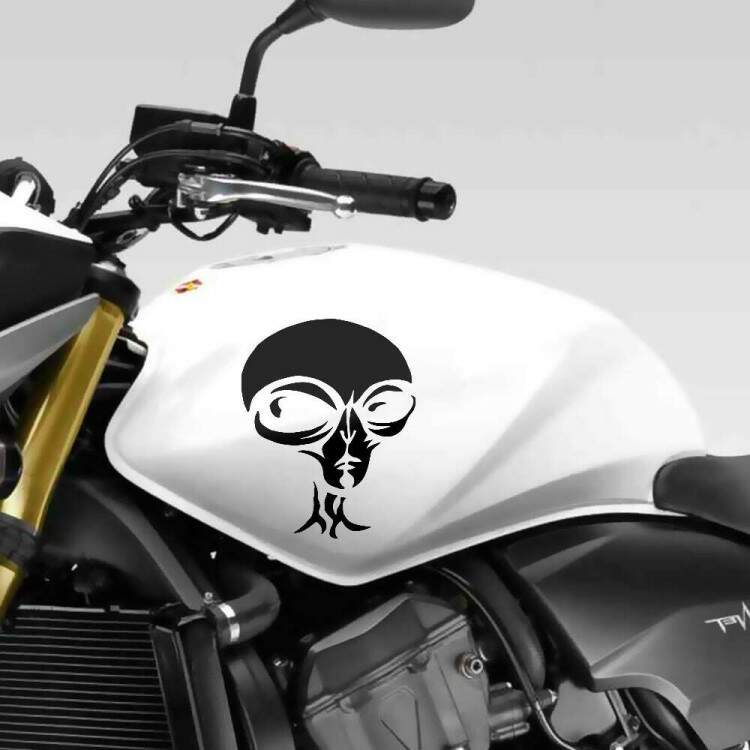 Adesivo para Moto Rosto Alien - Decore sua moto com um toque extraterrestre