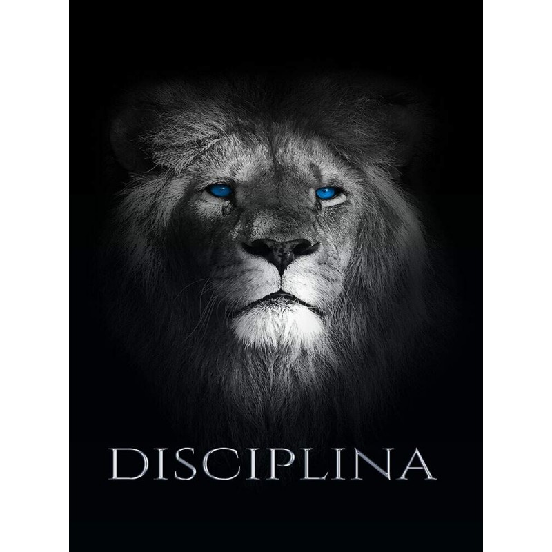 Quadro decorativo 3 telas Foco Execução e Disciplina