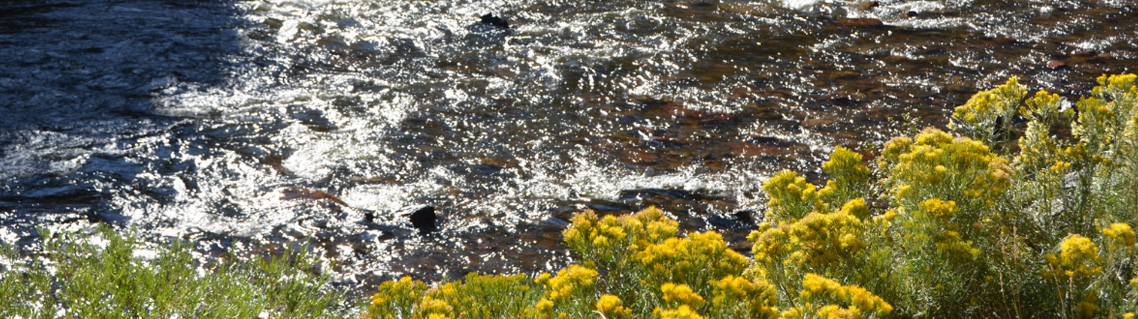 Primavera Estações