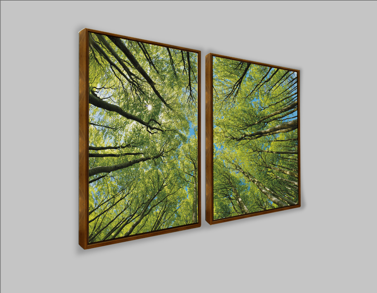Tela Duo - Floresta Dossel - Pinheiro Quadros