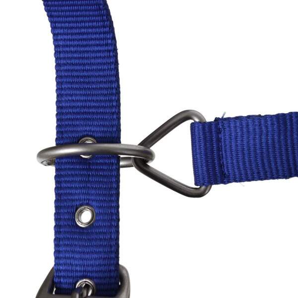 Cabresto Para Cavalo Fabricado em Nylon Azul Instep 34085 - Rodeo West
