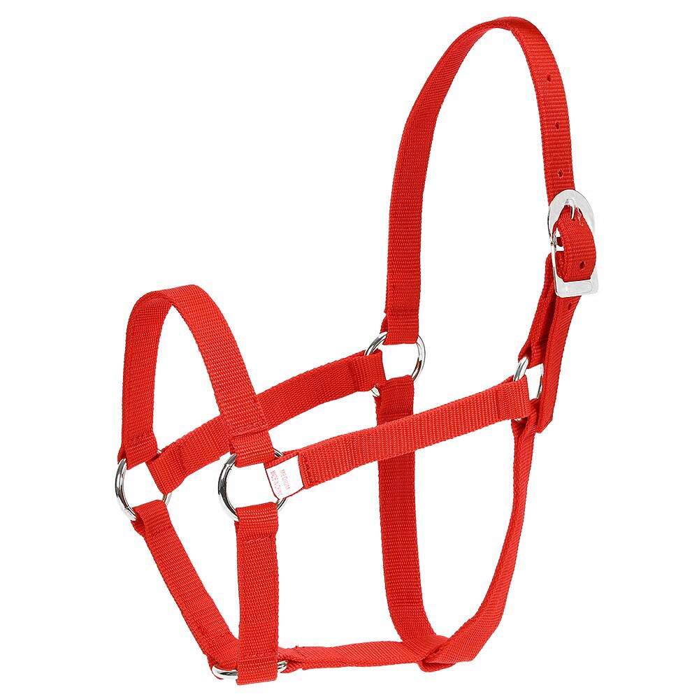Cabresto Vermelho para Cavalo Instep 26181 - Rodeo West