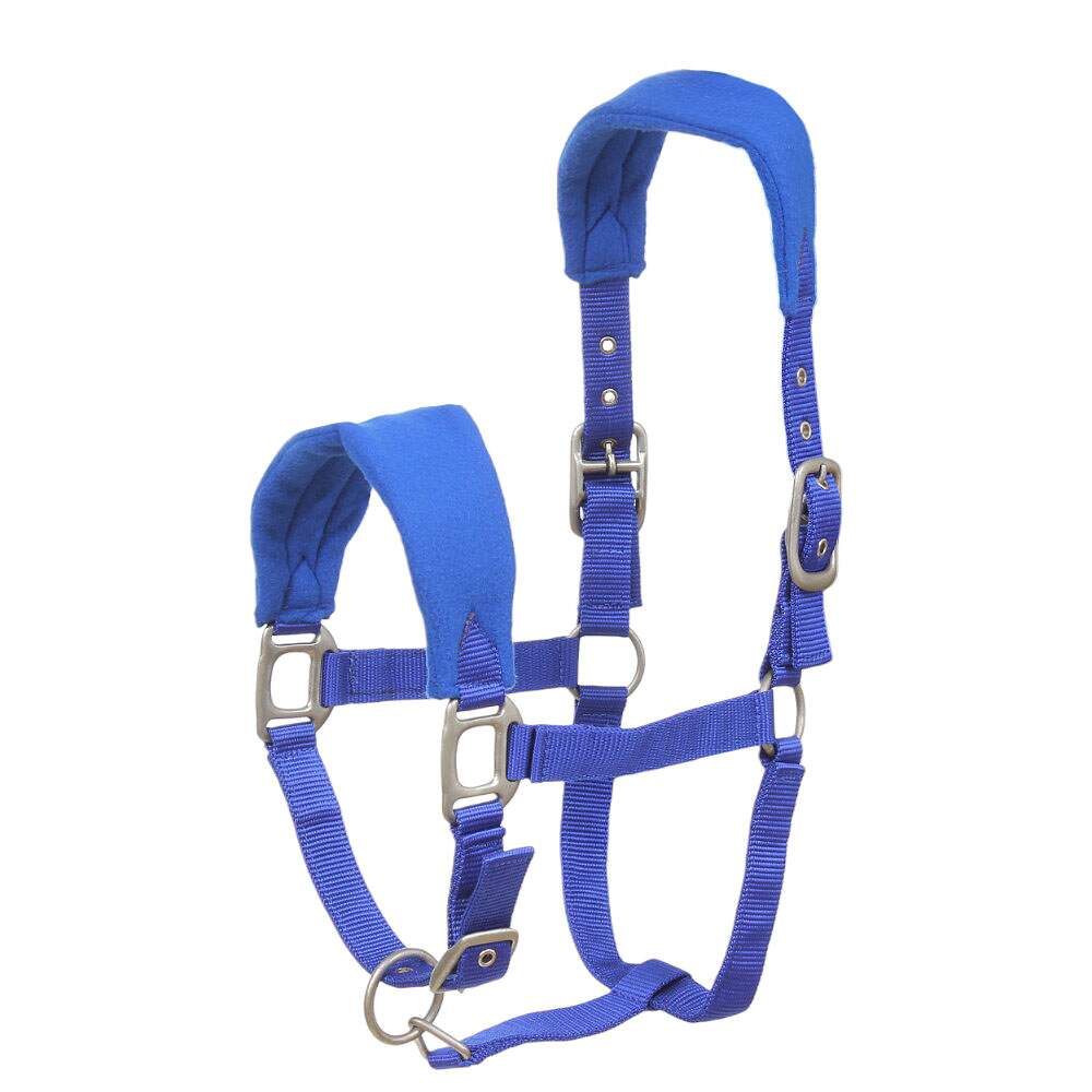 Cabresto para Cavalo Fabricado em Nylon Azul Royal Instep 38499 - Rodeo ...