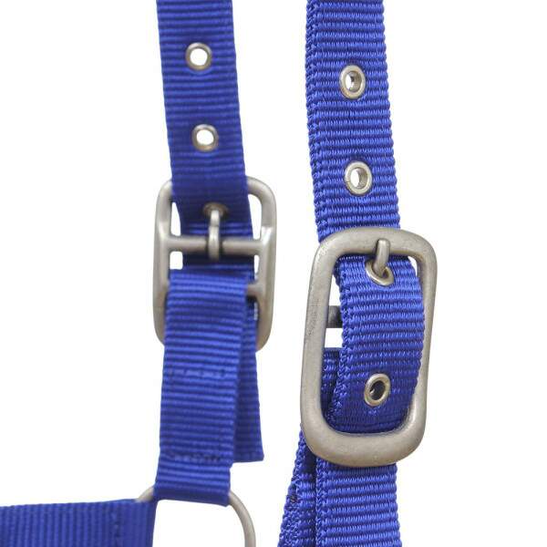 Cabresto para Cavalo Fabricado em Nylon Azul Royal Instep 38499 - Rodeo ...