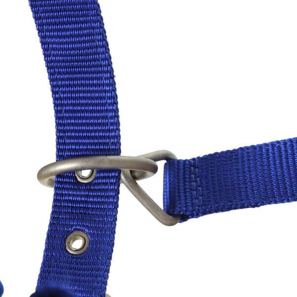 Cabresto para Cavalo Fabricado em Nylon Azul Royal Instep 38499 - Rodeo ...